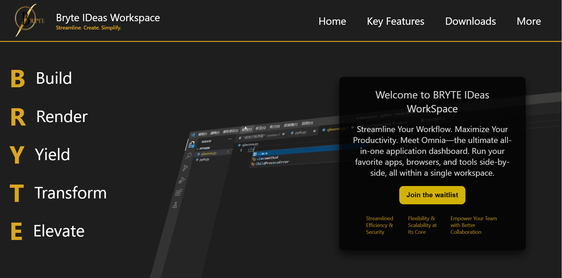 Brittany Tylutke - Portfolio