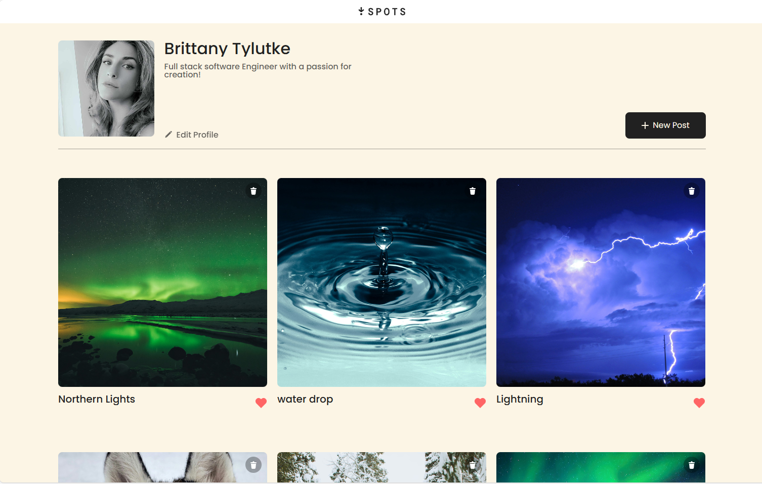 Brittany Tylutke - Portfolio
